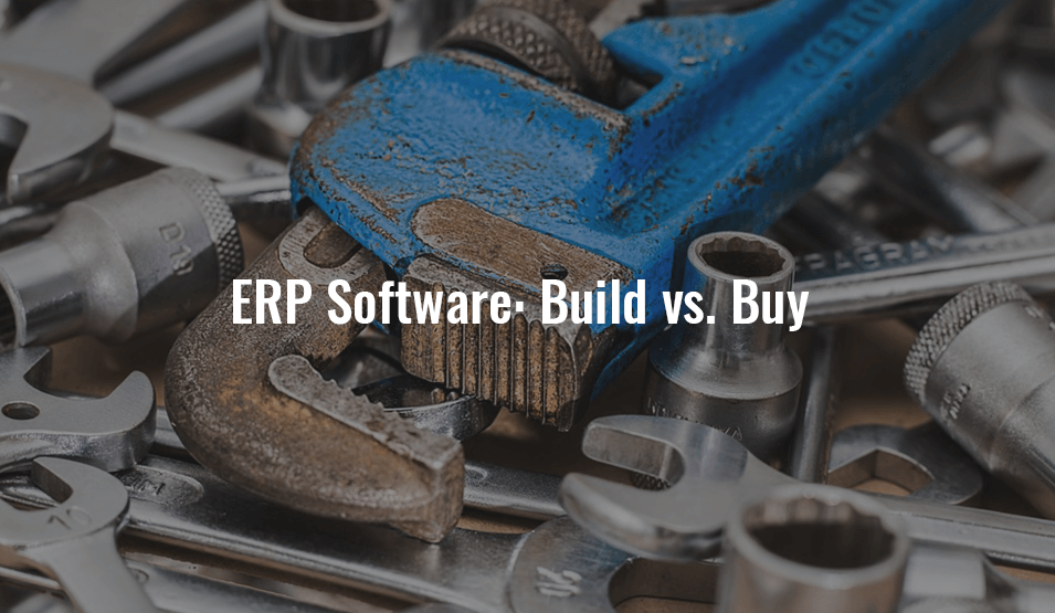 ERP Software: Build vs. Buy ERP Software: Build vs. Buy